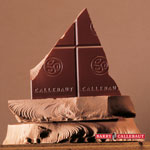 Barry Callebaut to strengthen its manufacturing footprint in North ...