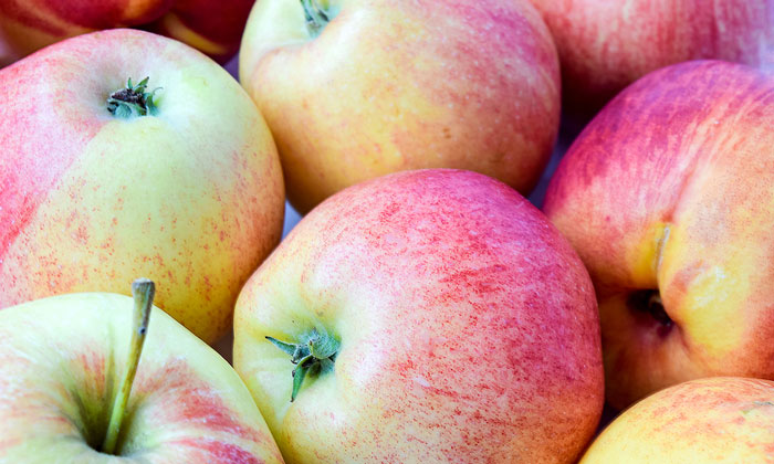 Discovery of very high quality apple genome obtained - New Food Magazine