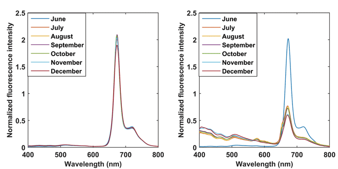 Monitoring light exposure with fluorescence spectroscopy