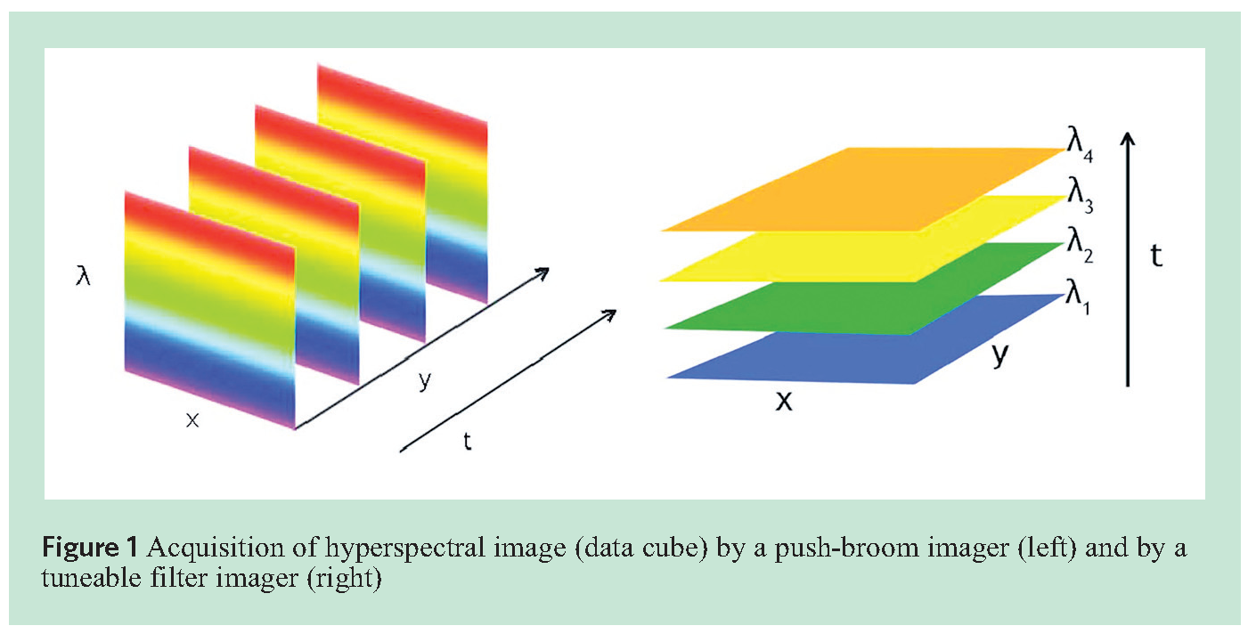 Hyperspectral chemical imaging maps food composition in laboratory and ...