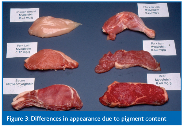 Measuring meat colour - New Food Magazine