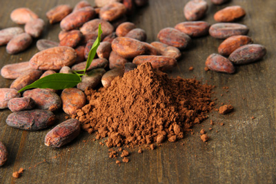 Naturex to market cocoa extract food supplements