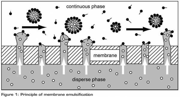 Membrane emulsification: how to get from basics to business - New Food ...